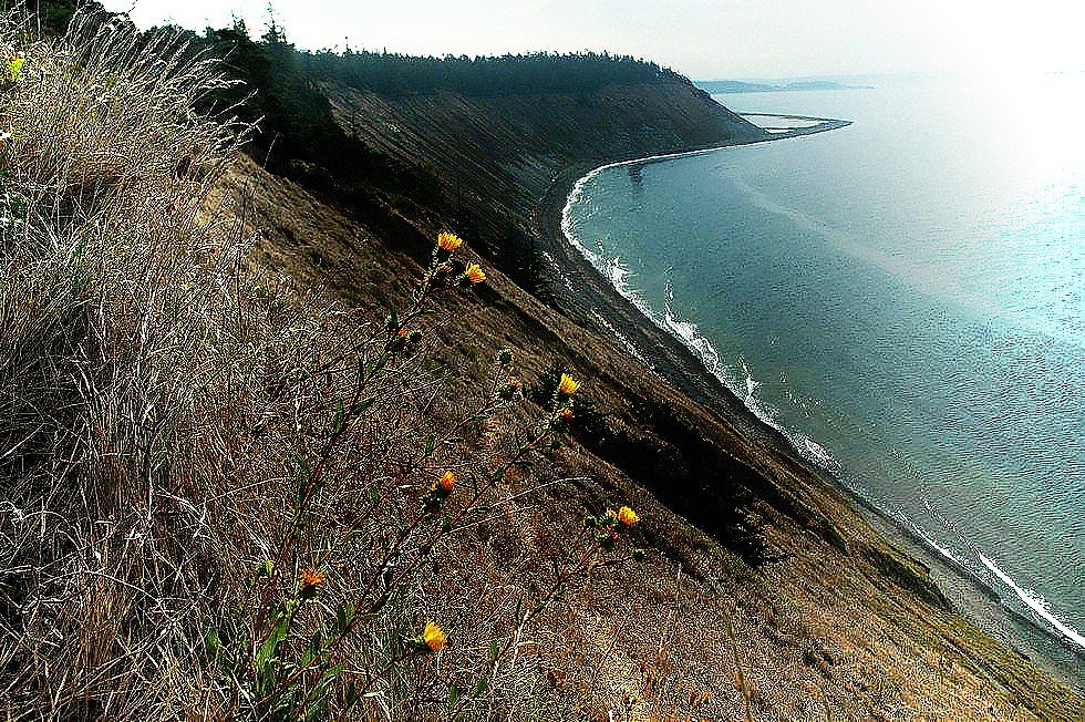 Whidbey Island Events Festivals Lodging Lifestyle And More Whidbey Island Events Festivals Lodging Lifestyle And More